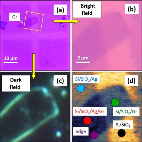 optical image of a sio2 si implanted sample after graphene deposition
