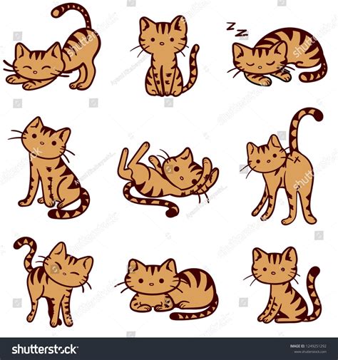 Vector Illustration Of Brown Tabby Catsillustrationvectorbrowncats