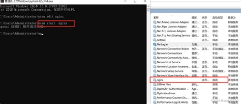 使用nssm配置守护进程 Nginx（windows）nssm Nginxandy5520的博客 Csdn博客