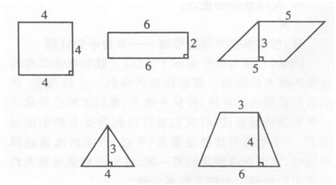 梯形的面积的练习五上 知乎