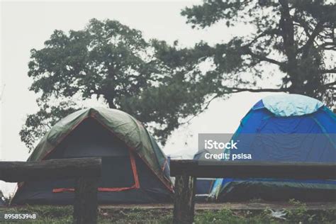 안개 및 안개에서 관광 텐트입니다 숲에 캠핑 여행 휴가 개념 0명에 대한 스톡 사진 및 기타 이미지 0명 건설 현장 공원 Istock