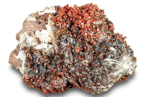 8 1 Ruby Red Vanadinite Crystals On Black White Barite Top Quality 253388 For Sale