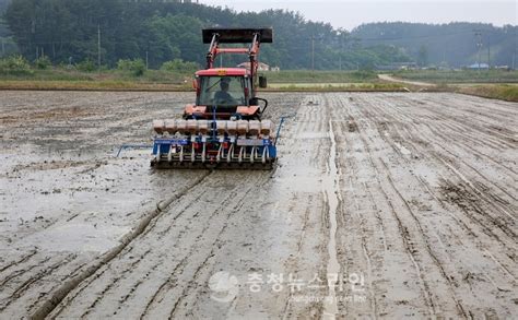 태안군 벼 직파재배 확대 보급 나선다 충청뉴스라인