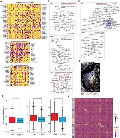 Fig S4 Protein Protein Interaction And Spatial Distribution Of