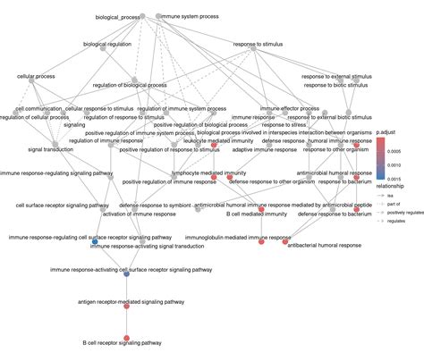 Getting Started With Clusterprofiler