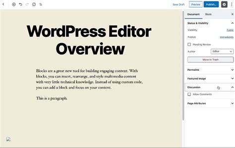 Block Editor Overview Raney Day Design