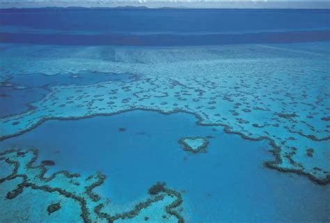 그레이트 배리어 리프 크루즈 에얼리 비치해밀턴 아일랜드 출발 멋진 크루즈로 그레이트 배리어 리프를 탐험하세요 Funbooky