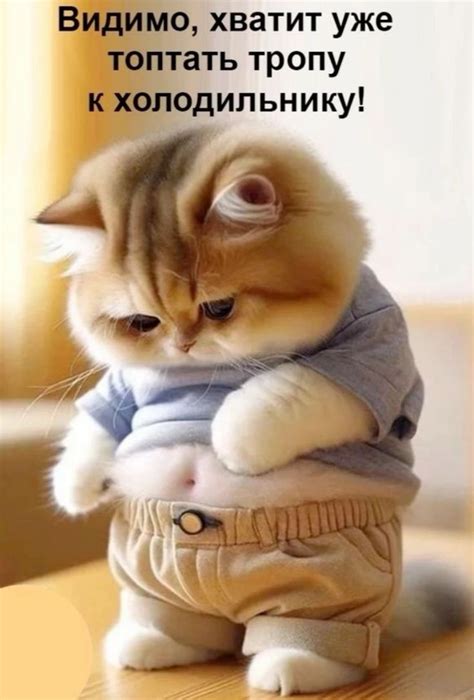 Пин на доске Здоровое питание это прежде всего 😻