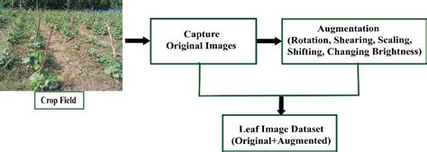 Figure 2 From A Dataset For Successful Recognition Of Cucumber Diseases