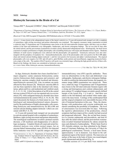 Pdf Histiocytic Sarcoma In The Brain Of A Cat