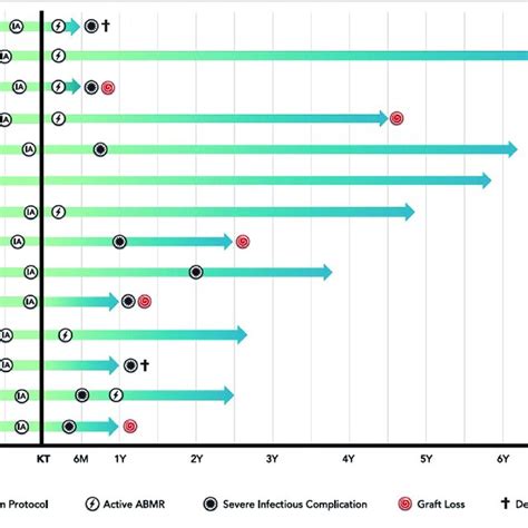 Immunoadsorption Based Desensitization Protocol Overall Results