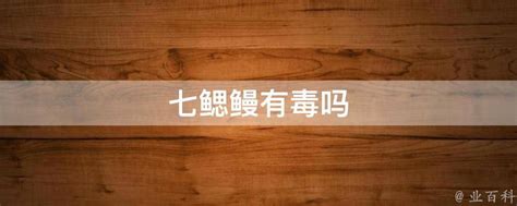 七鳃鳗有毒吗 业百科