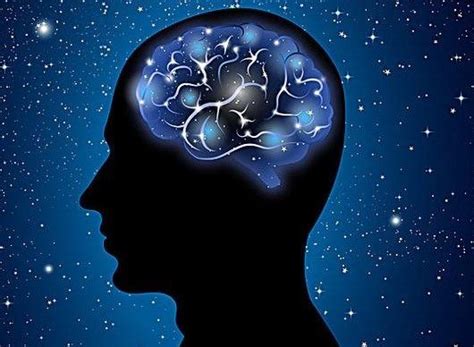 量子波动速度法是新型诈骗手段 大脑 智人 量子 新浪新闻