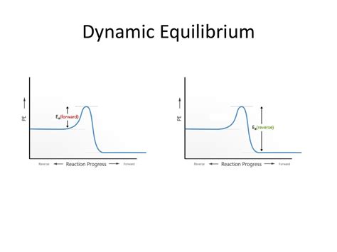 Equilibrium Systems Ppt Download