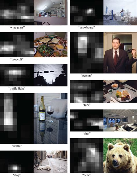 Examples Of Saliency Maps Generated With Hierarchical Perturbation