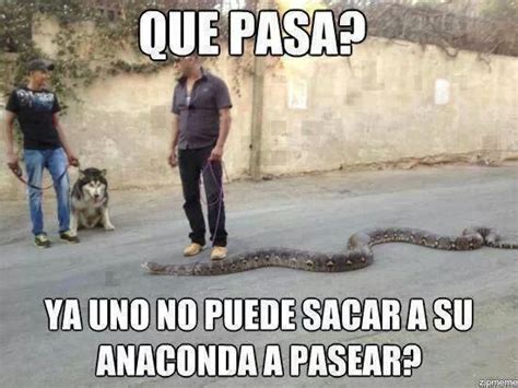 Anaconda Meme Subido Por Jorgefiipsa Memedroid