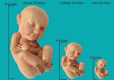 Impressora 3d Usa Imagens De Ultrassom Para Criar Réplicas De Bebês