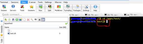 shell scripting 2 shell script special variables create and run