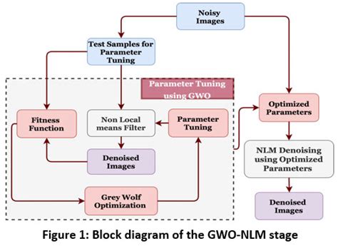 Grey Wolf Optimization Guided Non Local Means Denoising For Localizing