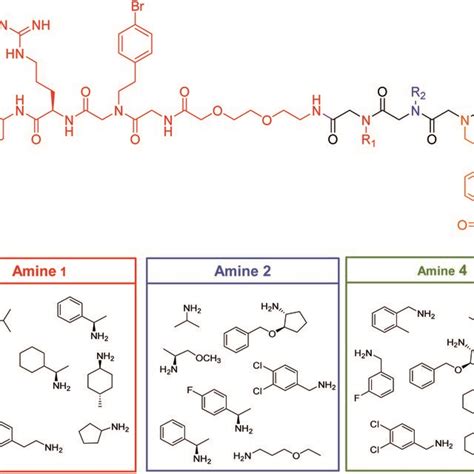Oboc Library Design A Structure Of The Linker Red And Peptoid