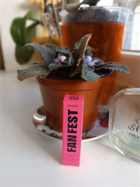 Тушь для ресниц — цена 320 грн в каталоге Тушь для ресниц Купить товары для красоты и здоровья