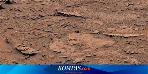 Bacteria On Mars Potential Health Risks For Future Interplanetary