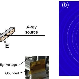 A Schematic Of The Experimental Setup And B Division Of The Download Scientific Diagram