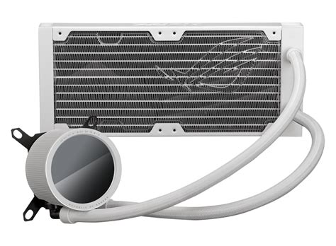 Rog Ryuo Iii 240 Argb White Edition Cooling Rog Egypt
