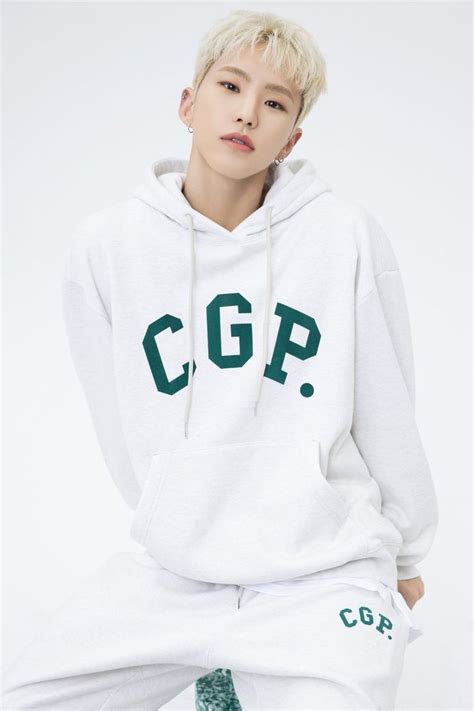 Codegraphy Hoshi 호시 세븐틴 연예인