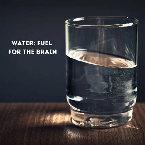 The Role Of Hydration In Cognitive Function How Water Affects