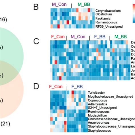 Blueberry Supplementation Affects The Differential Abundance Of Genera Download Scientific