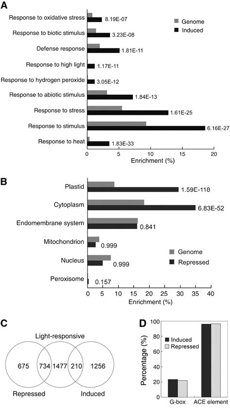 Figure 2 From Antagonistic Basic Helix Loop Helix Bzip Transcription Factors Form