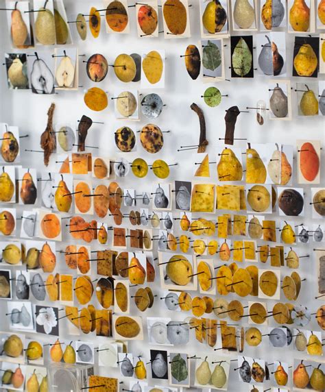 Metaphorical Portraits By Michael Mapes Deconstruct Art History As Collaged Specimens — Colossal