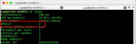 How To Check The Number Of Cores Of A Cpu In Linux Better Tech Tips