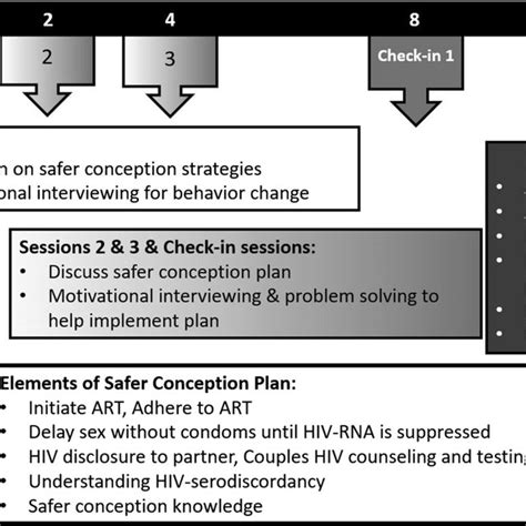 Safer Conception Conceptual Framework 1 And Key Elements Addressed By Download Scientific
