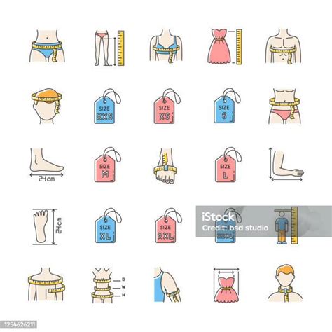 의류 크기 Rgb 색상 아이콘 세트입니다 인체 측정 의류에 대한 여성 및 남성 차원 및 비율 매개 변수 격리된 벡터 그림 0명에