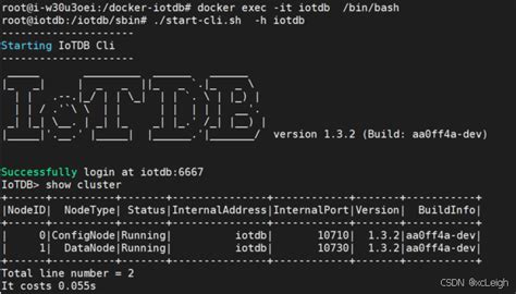 Apache Iotdb 全场景部署指南：从环境配置到单机 集群实战（基于 Docker 与原生部署）