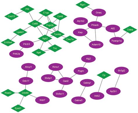 Ppi Network Green Nodes Represent Cluster 1 And Purple Nodes Download Scientific Diagram
