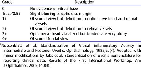 Standardization Of Uveitis Nomenclaturenussenblatt Photographic