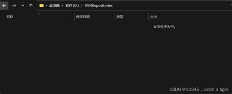 svn服务器环境部署 svn部署到服务器 csdn博客