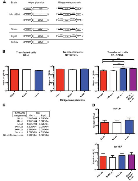 Organization And Signal Expression Of The Crimean Congo Hemorrhagic
