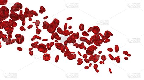 血细胞 绘画插图 分离着色 白色背景 三维图形 动脉 显微镜 静脉 水平画幅 自然