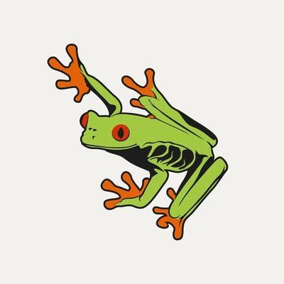 Tree Frog Vector Art Icons And Graphics For Free Download