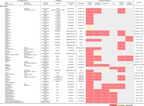Summary Of Altered Physiological And Biochemical Phenotypes Following Download Scientific