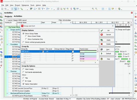 How To Set Up Columns Layouts And Timescales In Primavera P6