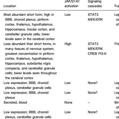 Leptin Receptor Isoforms In The Brain Download Scientific Diagram