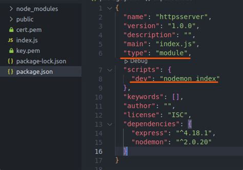 create server with node js [simple steps] golinuxcloud