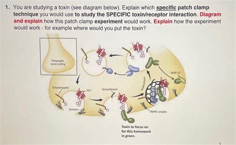 Solved 2 Just Using The Information Shown On The Diagram