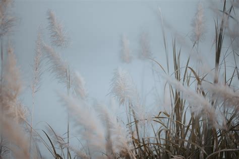 Say No To Premarital Sex And Early Pregnancy Be Responsible For Every Action You Make Photo