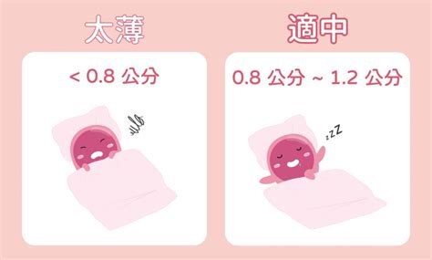 子宮內膜太薄會影響受孕？不孕症名醫張甫軒曝秘訣：養內膜4撇步！ 祝你健康 三立新聞網 Healthsetncom